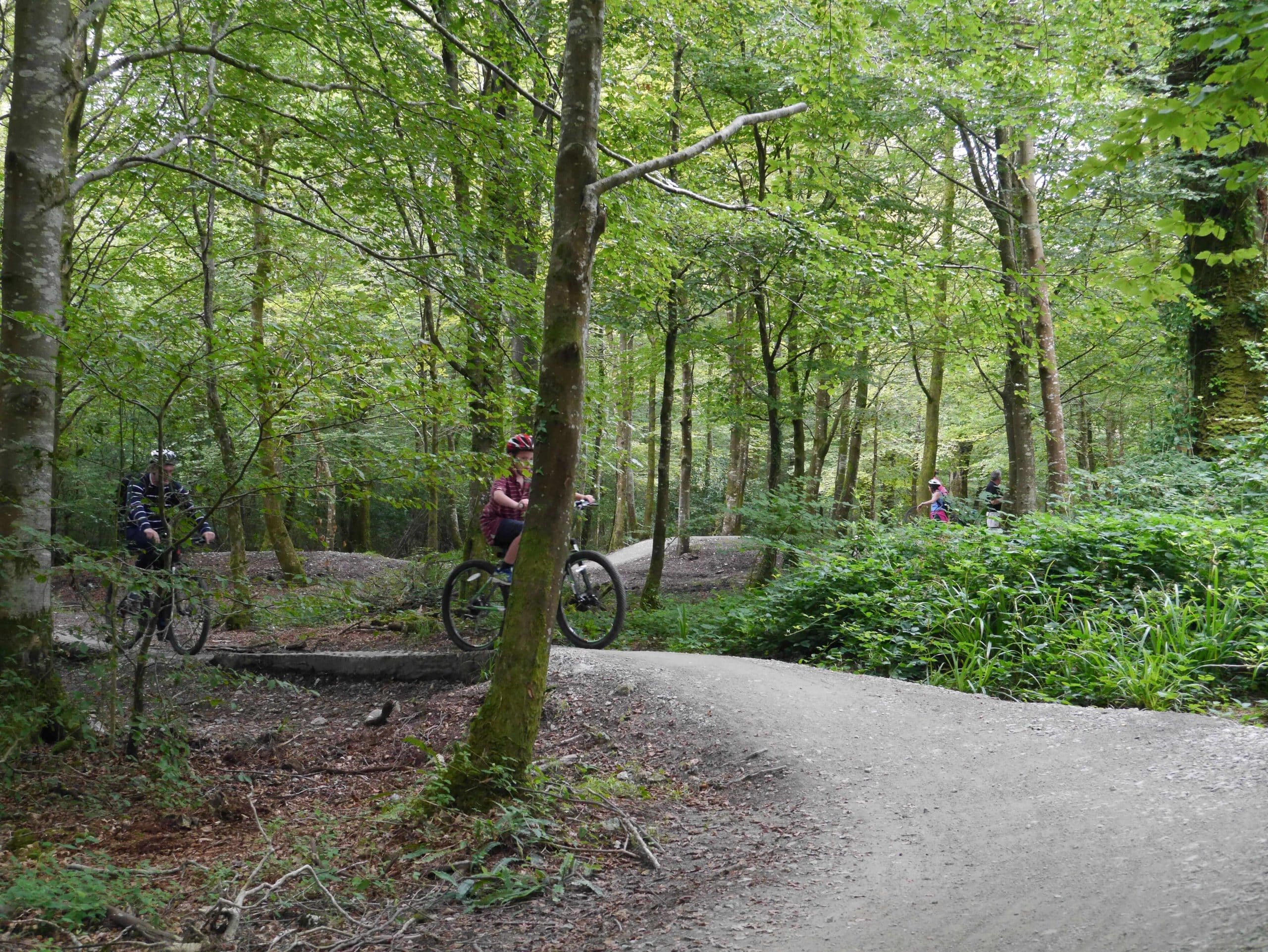 National Trust - Wimpole Estate - McLoughlin Planning | McLoughlin Planning